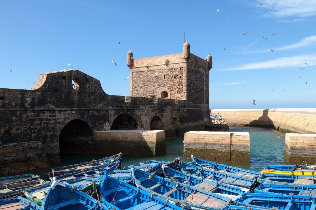 Top 230 Things to do in Essaouira