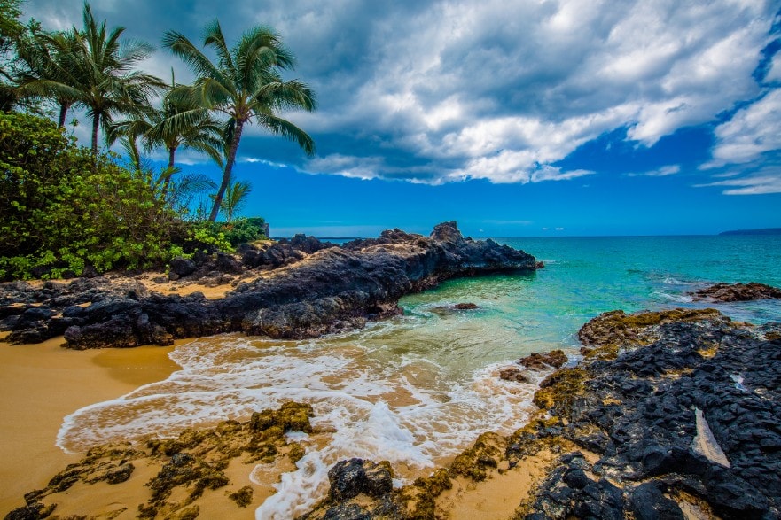 Top 616 Full-day Tours in Maui