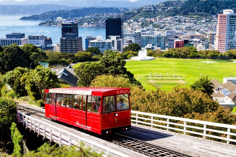 Top 172 Things to do in Wellington