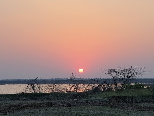 Musi River | Ananthagiri Hills, Telangana - What to Expect | Timings ...