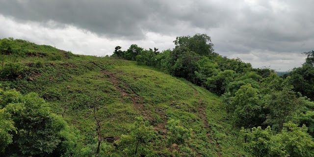 Musi River | Ananthagiri Hills, Telangana - What to Expect | Timings ...