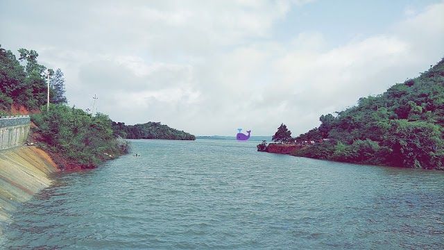 Water Adventures at Bhadra Dam | Chikmagalur - What to Expect | Timings ...