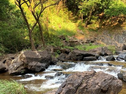 Hebbe Falls | Chikmagalur - What to Expect | Timings | Tips - Trip ...