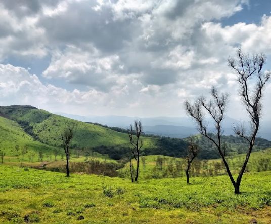 Hebbe Falls | Chikmagalur - What to Expect | Timings | Tips - Trip ...