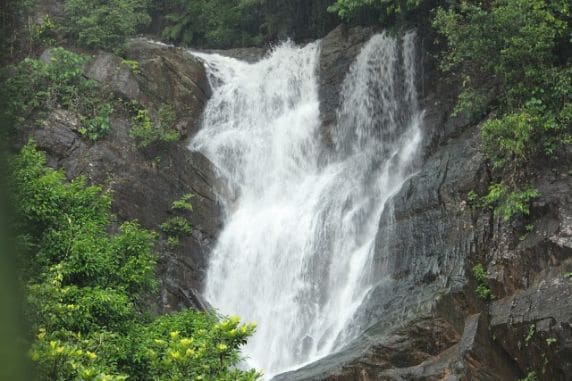 Kudremukh National Park, Chikmagalur - Safari Timing, Ticket Fee & Photos