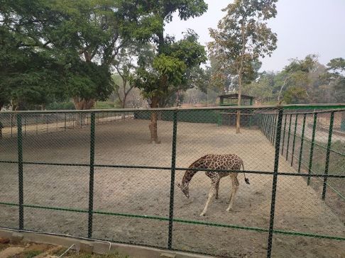 Assam State Zoo cum Botanical Garden | Guwahati - What to Expect ...