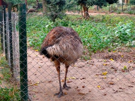 Assam State Zoo cum Botanical Garden | Guwahati - What to Expect ...