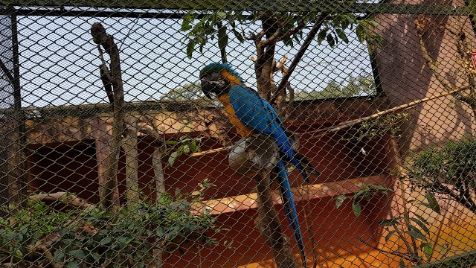 Assam State Zoo cum Botanical Garden | Guwahati - What to Expect ...