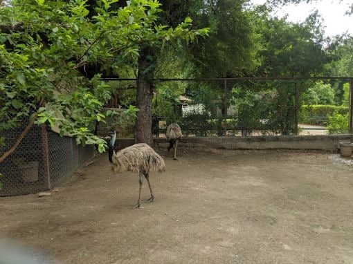 Gwalior Zoo | Gwalior - What to Expect | Timings | Tips - Trip Ideas by ...