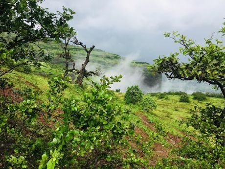 Hike Up to Bitangad Fort | Igatpuri - What to Expect | Timings | Tips ...