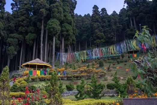 Trek to 7th Mile View Point | Kalimpong - What to Expect | Timings ...