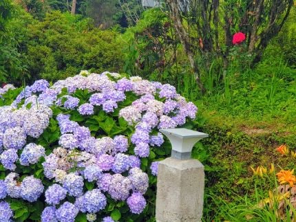 Delo Park | Kalimpong - What to Expect | Timings | Tips - Trip Ideas by ...