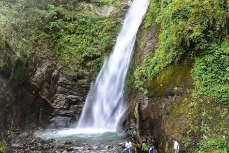 Neora Valley National Park, Kalimpong - Safari Timing, Ticket Fee & Photos