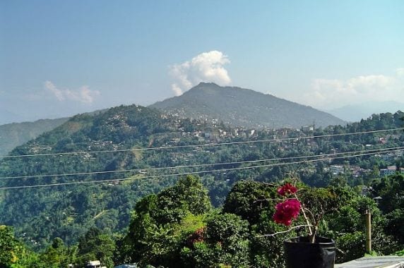 Tour the Pine View Nursery | Kalimpong - What to Expect | Timings ...