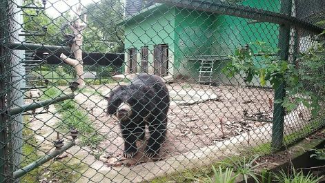 Central Zoo | Kathmandu - What to Expect | Timings | Tips - Trip Ideas ...