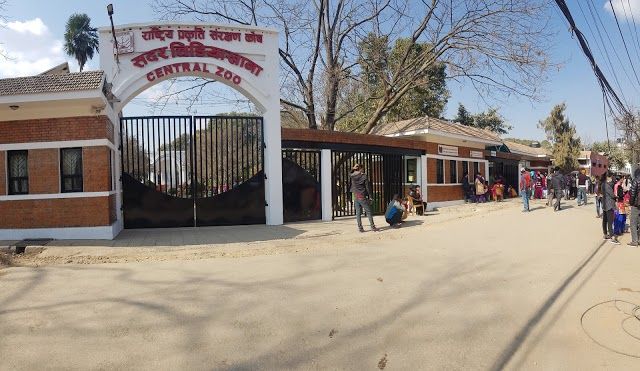 Central Zoo | Kathmandu - What to Expect | Timings | Tips - Trip Ideas ...