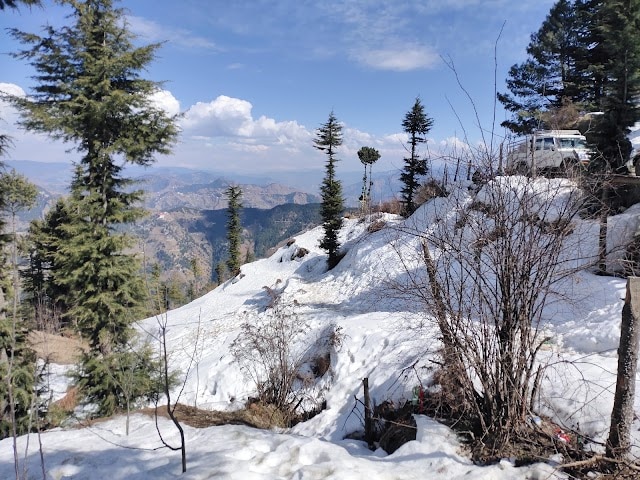 Kufri | Best Time to Visit | Top Things to Do | Book Your Trip - Travel ...