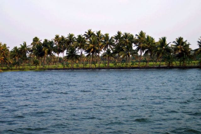 Kumarakom Backwaters | Kumarakom - What to Expect | Timings | Tips ...