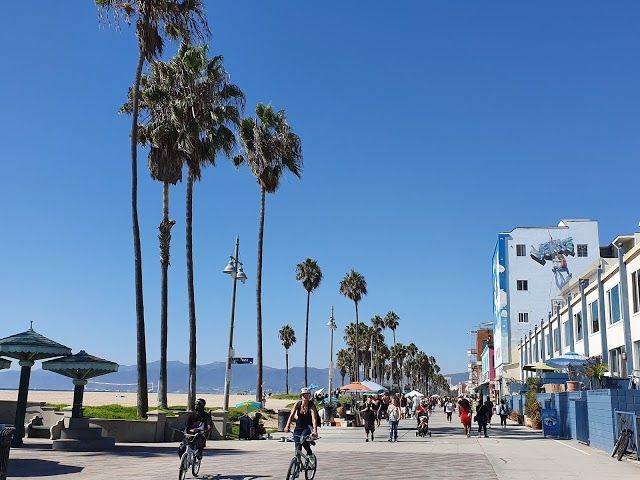 Roam Around the Venice Beach, Los Angeles - Things to Do, Timings & Photos