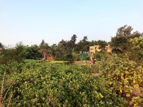 Rock Garden | Malvan - What to Expect | Timings | Tips - Trip Ideas by ...