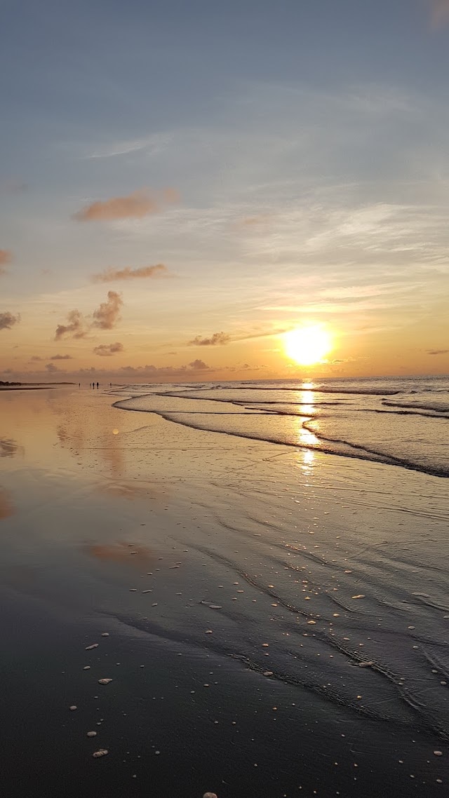 Mandarmani Beach, Mandarmani - Things to Do, Timings & Photos