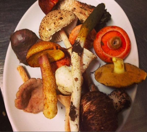 St Ali Coffee Roasters | Melbourne - What to Expect | Timings | Tips ...