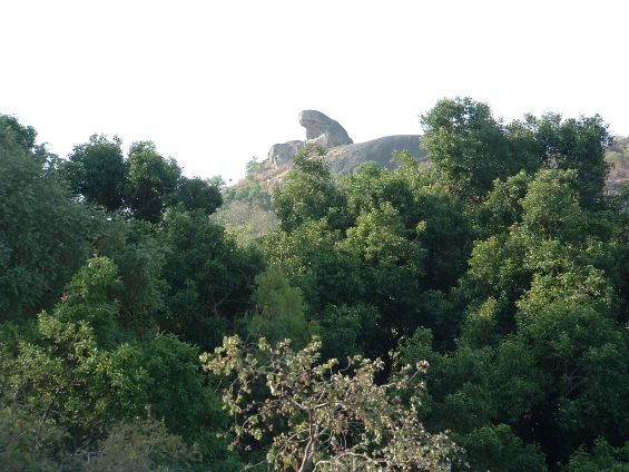 Toad Rock | Mount Abu - What to Expect | Timings | Tips - Trip Ideas by ...