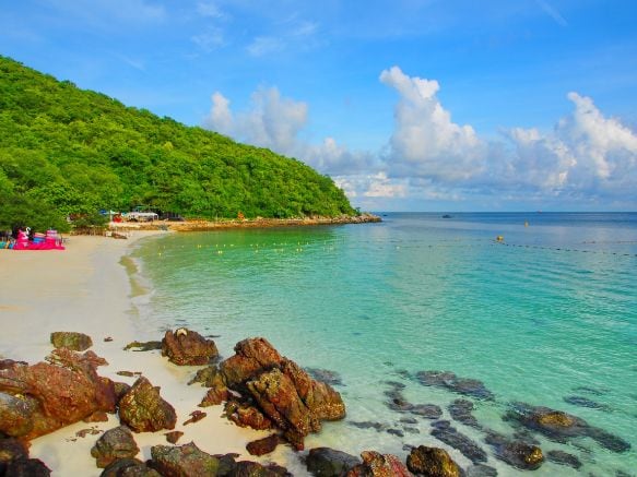 Coral Island Tour | Pattaya - What to Expect | Timings | Tips - Trip ...