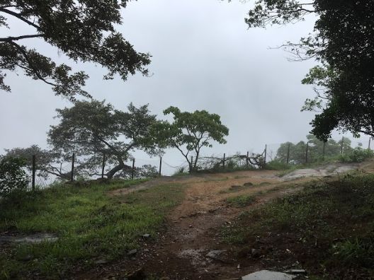 Bisle View Point | Sakleshpur - What to Expect | Timings | Tips - Trip ...