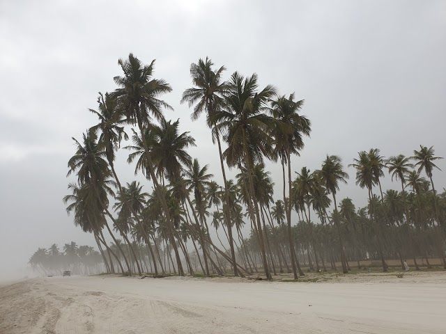 Relax at Al Haffa Beach, Salalah - Things to Do, Timings & Photos