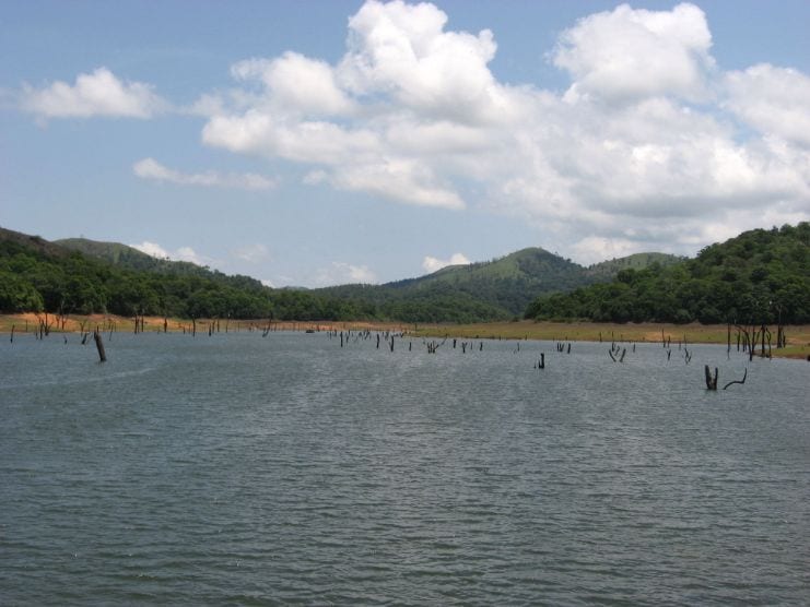 Periyar Lake | Thekkady - What to Expect | Timings | Tips - Trip Ideas ...