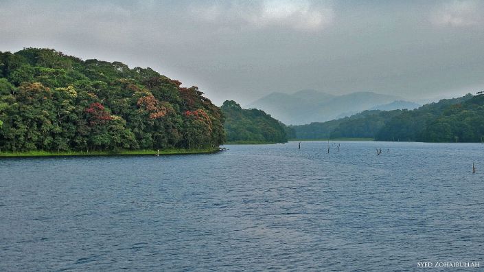 Periyar Lake | Thekkady - What to Expect | Timings | Tips - Trip Ideas ...