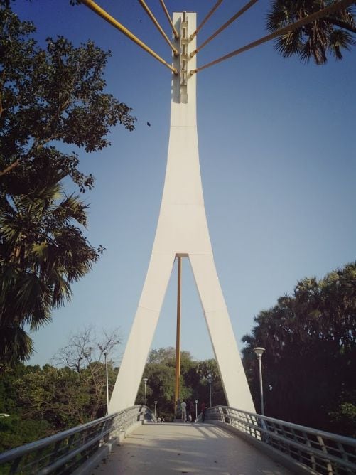 Take a stroll in Sayaji Baug | Vadodara - What to Expect | Timings ...