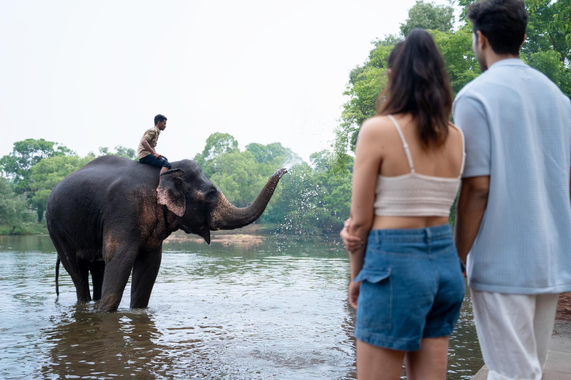 Coorg Marriott Resort and Spa 𝗕𝗢𝗢𝗞 Coorg Resort
