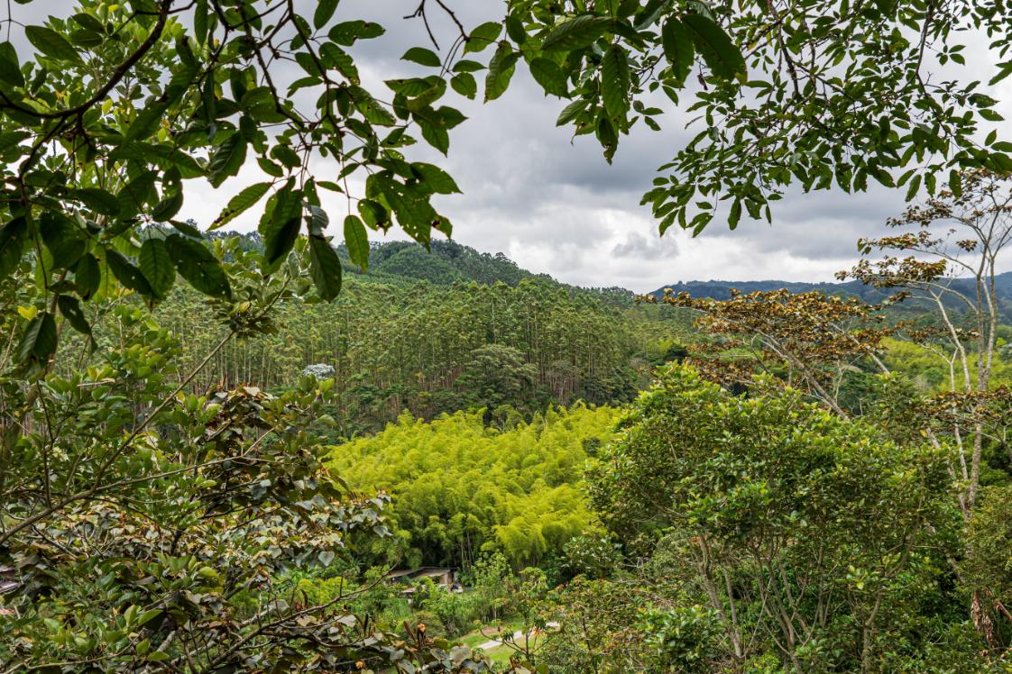 The Fern Samali Resort Dapoli, Series by Marriott 𝗕𝗢𝗢𝗞 Dapoli Resort