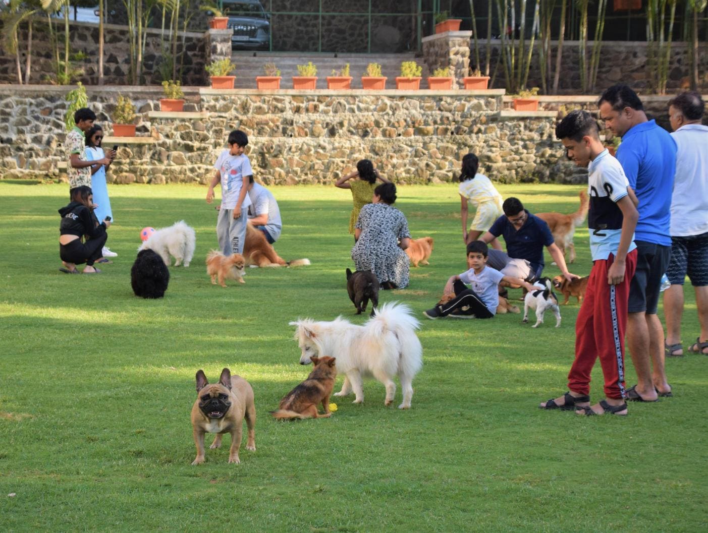 Manas Resort with Petting Zoo Igatpuri - Reviews, Photos & Offer