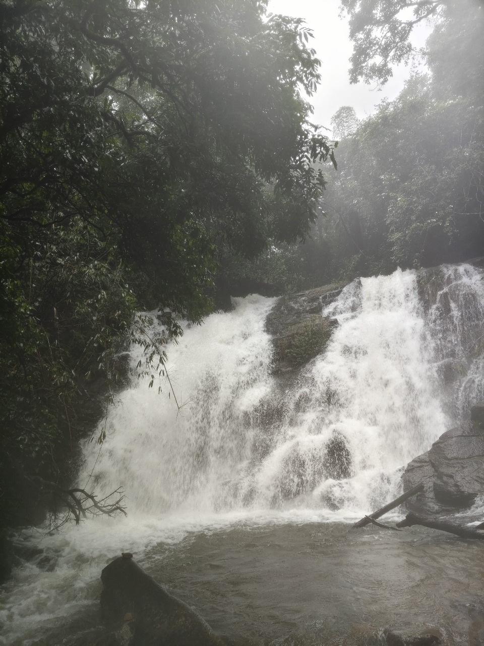 Indo Asia Heritage, Coorg 𝗕𝗢𝗢𝗞 Coorg Resort
