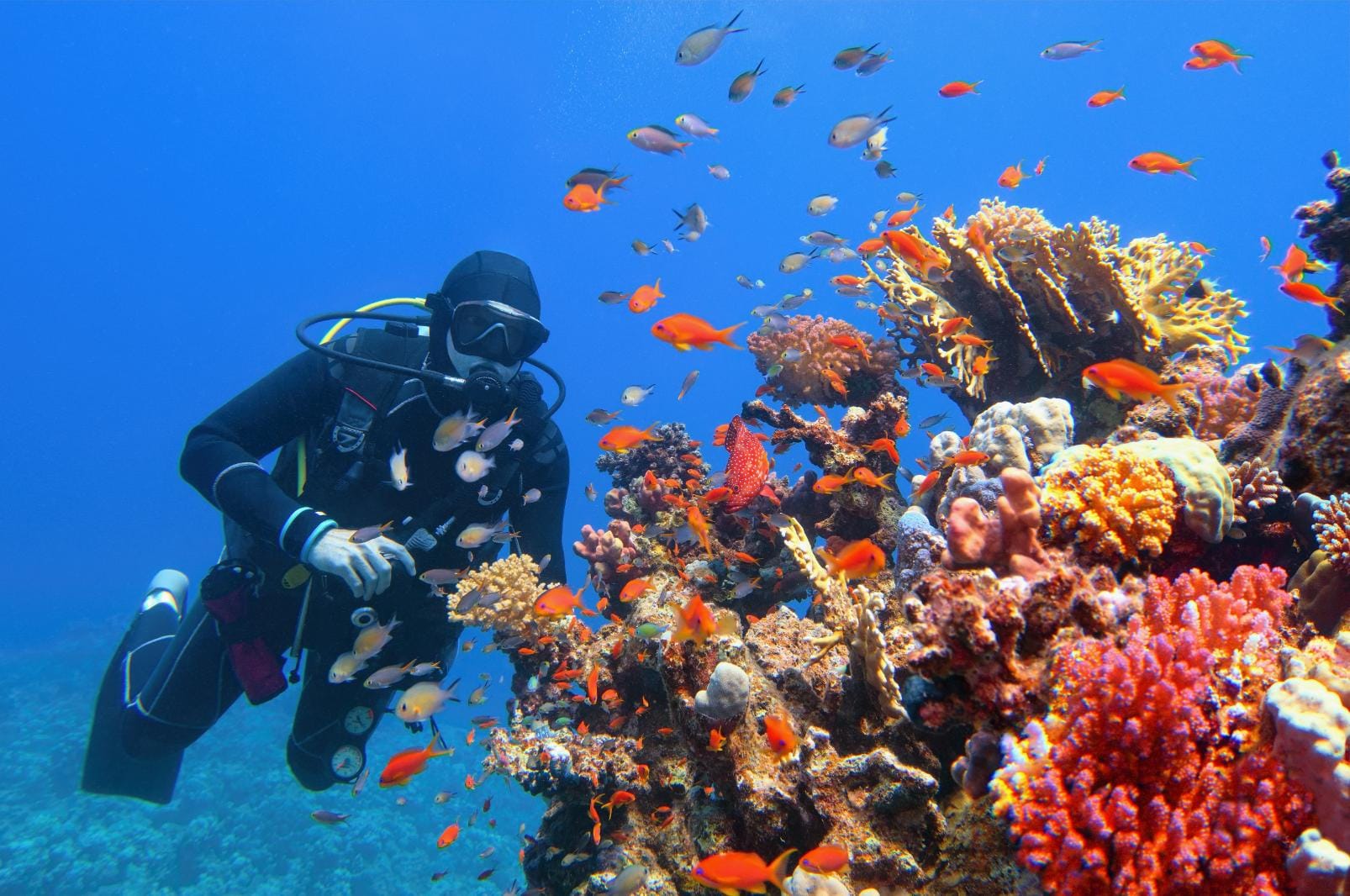 Villa Nautica Paradise Island Resort 𝗕𝗢𝗢𝗞 Maldives Resort 𝘄𝗶𝘁𝗵 𝗙𝗥𝗘𝗘 ...