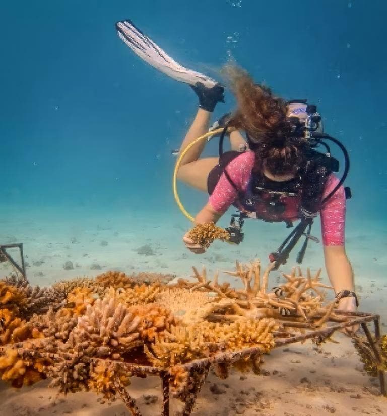 Taj Coral Reef Resort & Spa - Premium All Inclusive 𝗕𝗢𝗢𝗞 Maldives ...