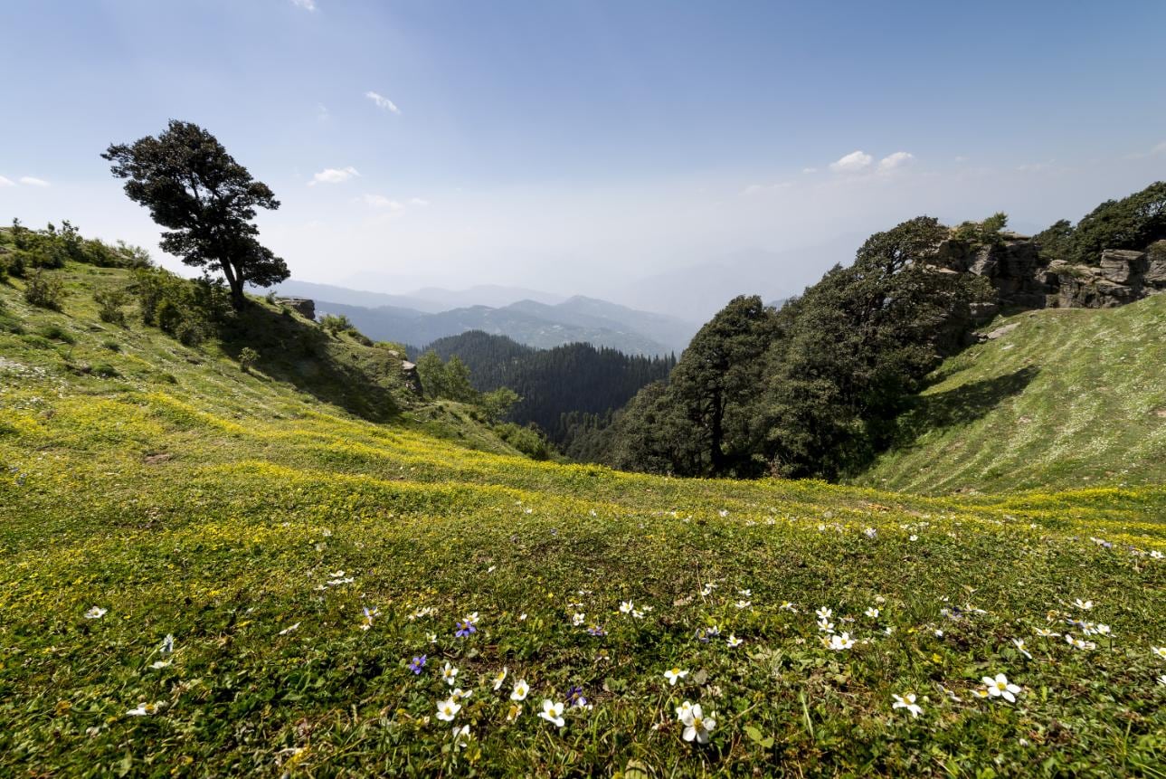 The Wilderness 𝗕𝗢𝗢𝗞 Narkanda Hotel