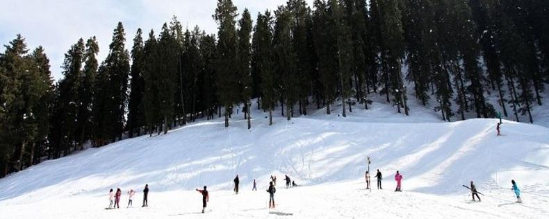 The Wilderness 𝗕𝗢𝗢𝗞 Narkanda Hotel
