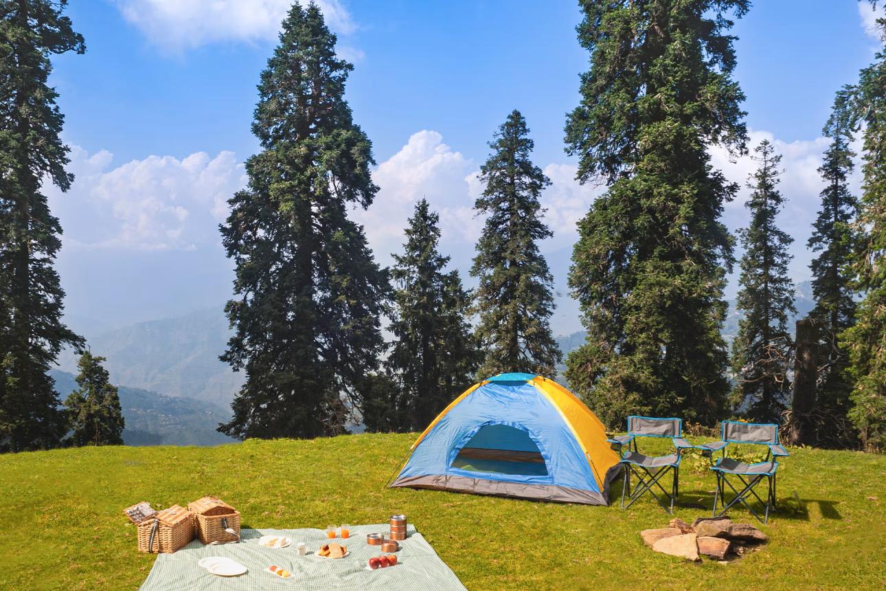 Taj Theog Resort & Spa, Shimla 𝗕𝗢𝗢𝗞 Theog Resort