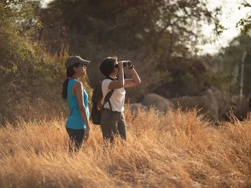 EVOLVE BACK, HAMPI 𝗕𝗢𝗢𝗞 Hampi Resort