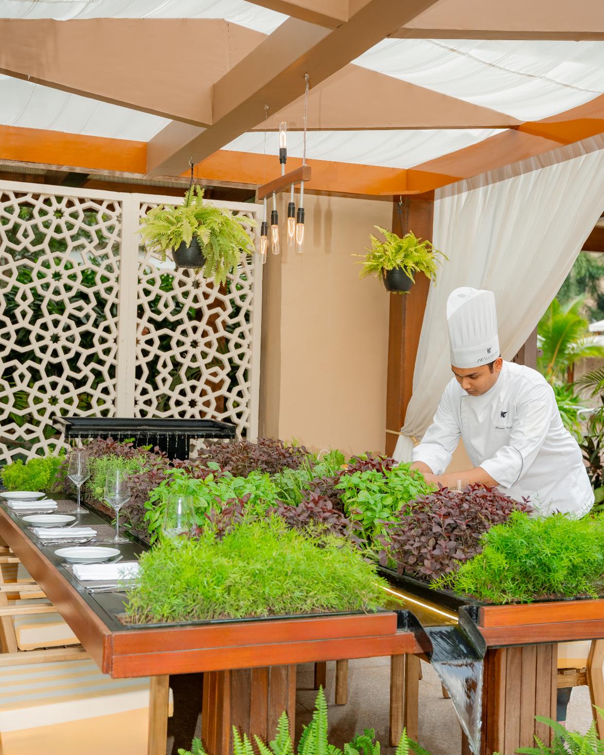 JW Marriott Mumbai Sahar 𝗕𝗢𝗢𝗞 Mumbai Hotel