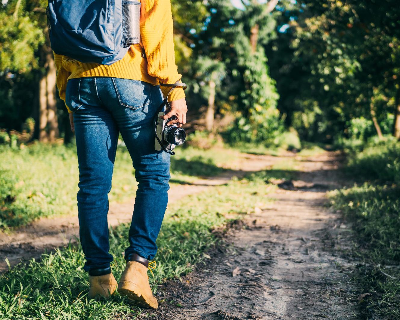 Taj Theog Resort & Spa, Shimla 𝗕𝗢𝗢𝗞 Theog Resort