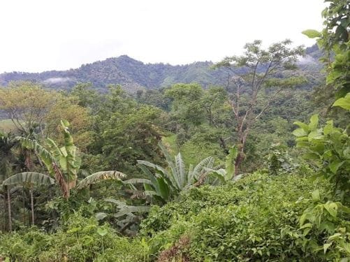 Jampui Hills | Agartala - What to Expect | Timings | Tips - Trip Ideas ...