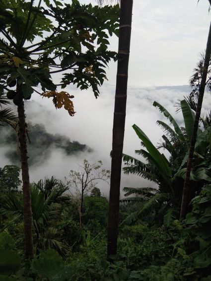 Jampui Hills | Agartala - What to Expect | Timings | Tips - Trip Ideas ...