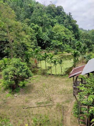 Ride a Safari at Dampa Tiger Reserve | Aizawl - What to Expect ...