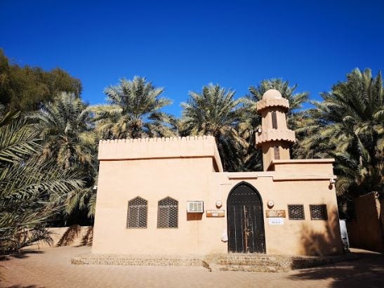 Al-Ain Oasis | Al Ain - What to Expect | Timings | Tips - Trip Ideas by ...