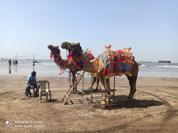 Alibaug Beach, Alibaug - Things to Do, Timings & Photos